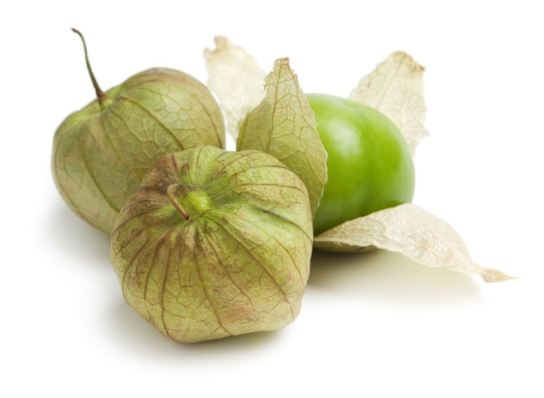 Tout savoir sur le physalis | Vilmorin